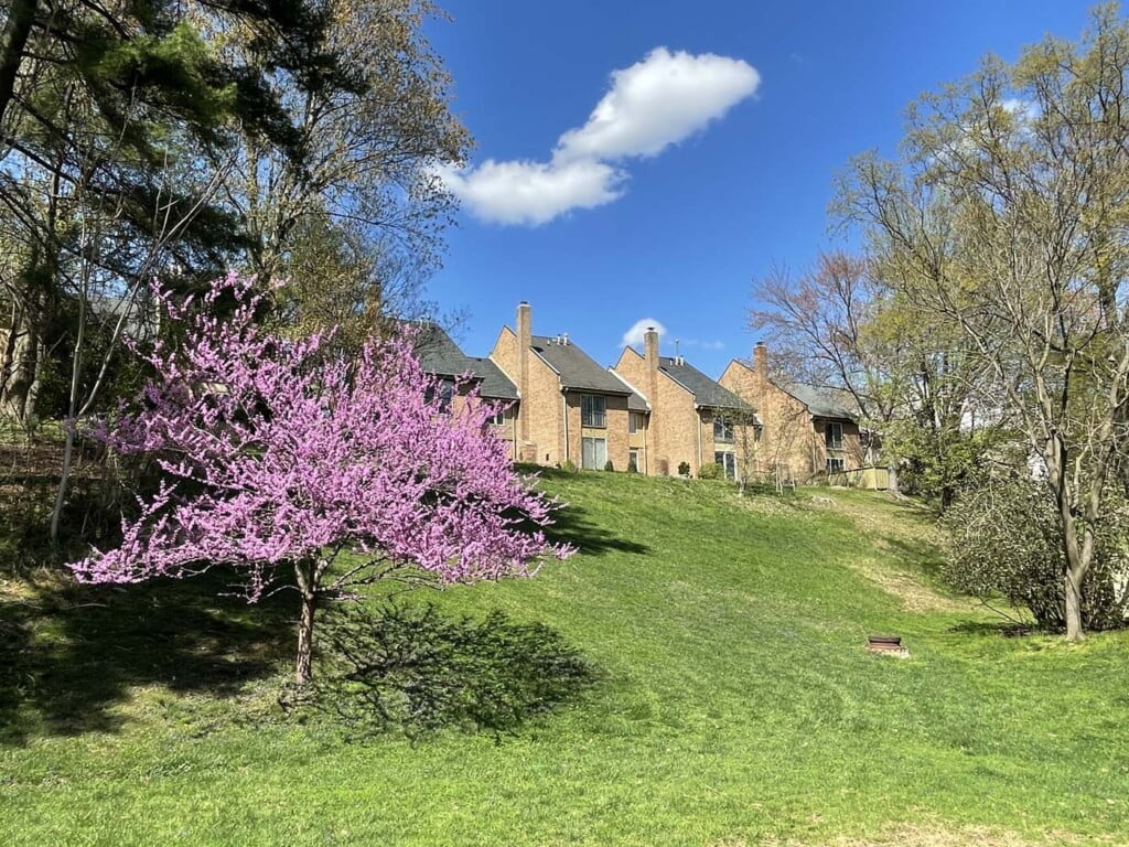 Residences - The Village of Cross Keys